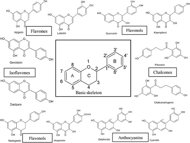 Keragaman dan Keunikan Struktur Kimia Flavonoid - E-Chemistry