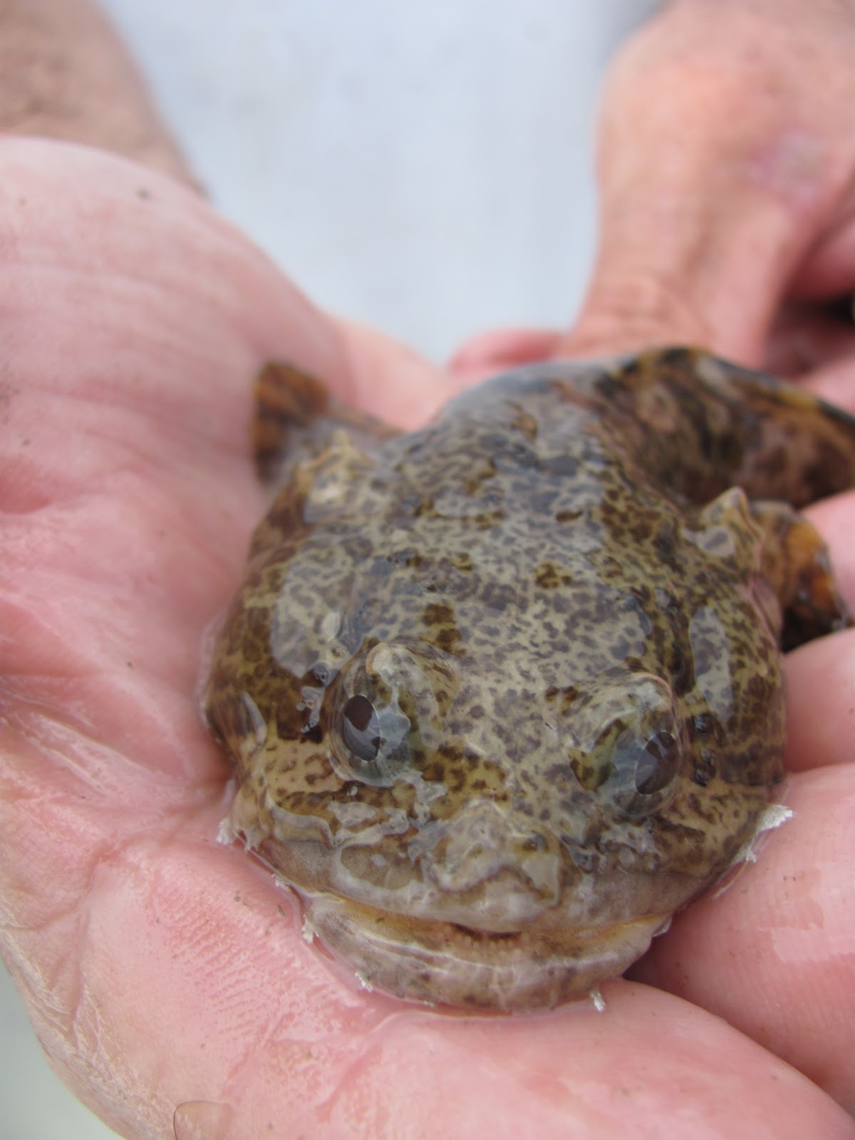 James River Expeditions: The Holiday of Champions