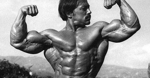 Casey Viator Photos,Biography and Profile | Bodybuilding and Fitness Zone