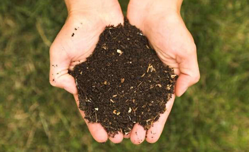 Civil Insta a Civil Engineering Blog: TYPES OF SOIL SAMPLE
