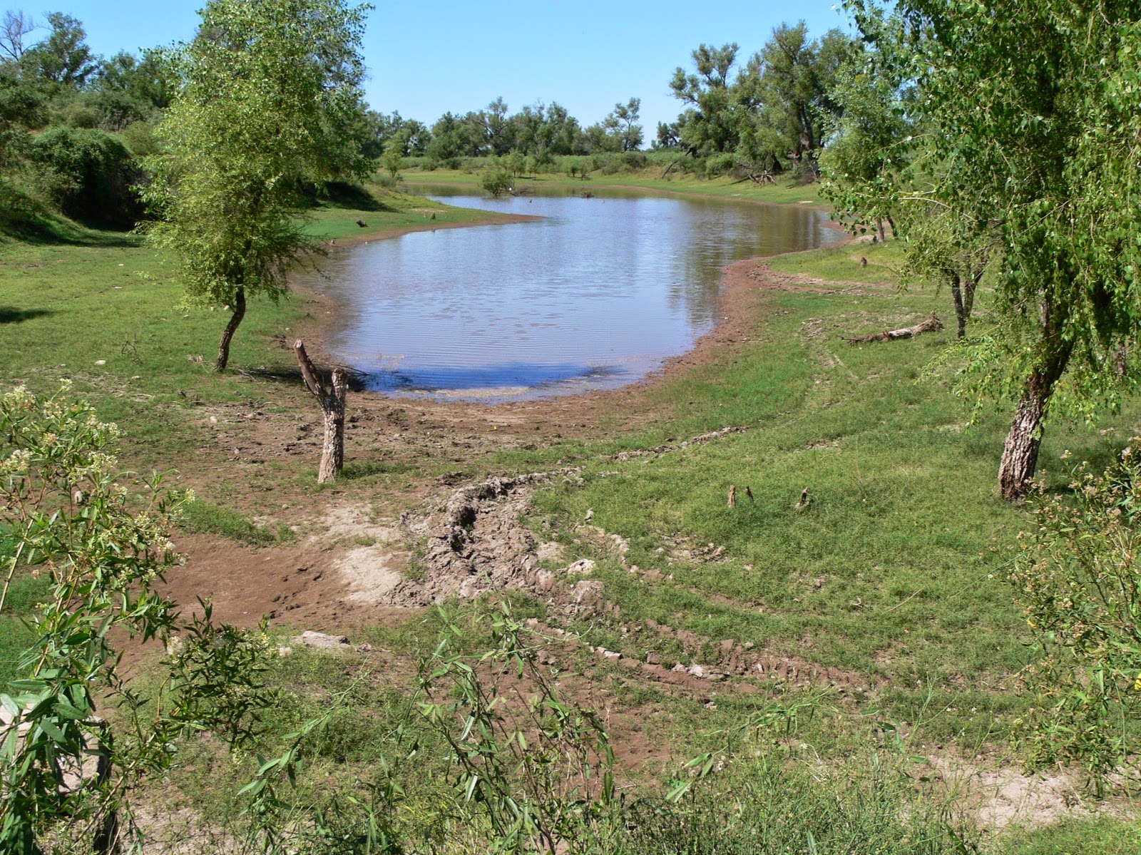 Border Lines: Searching for a Disappeared River: Yaquis and the Yaqui River