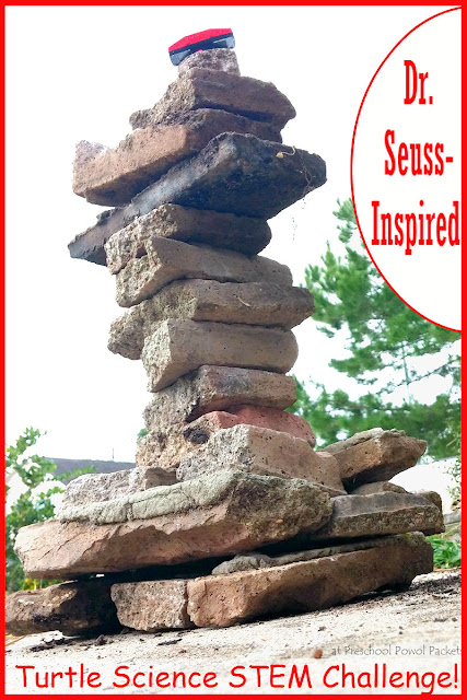Inspired-by-Dr. Seuss Turtle Science STEM Challenge! | Preschool Powol ...