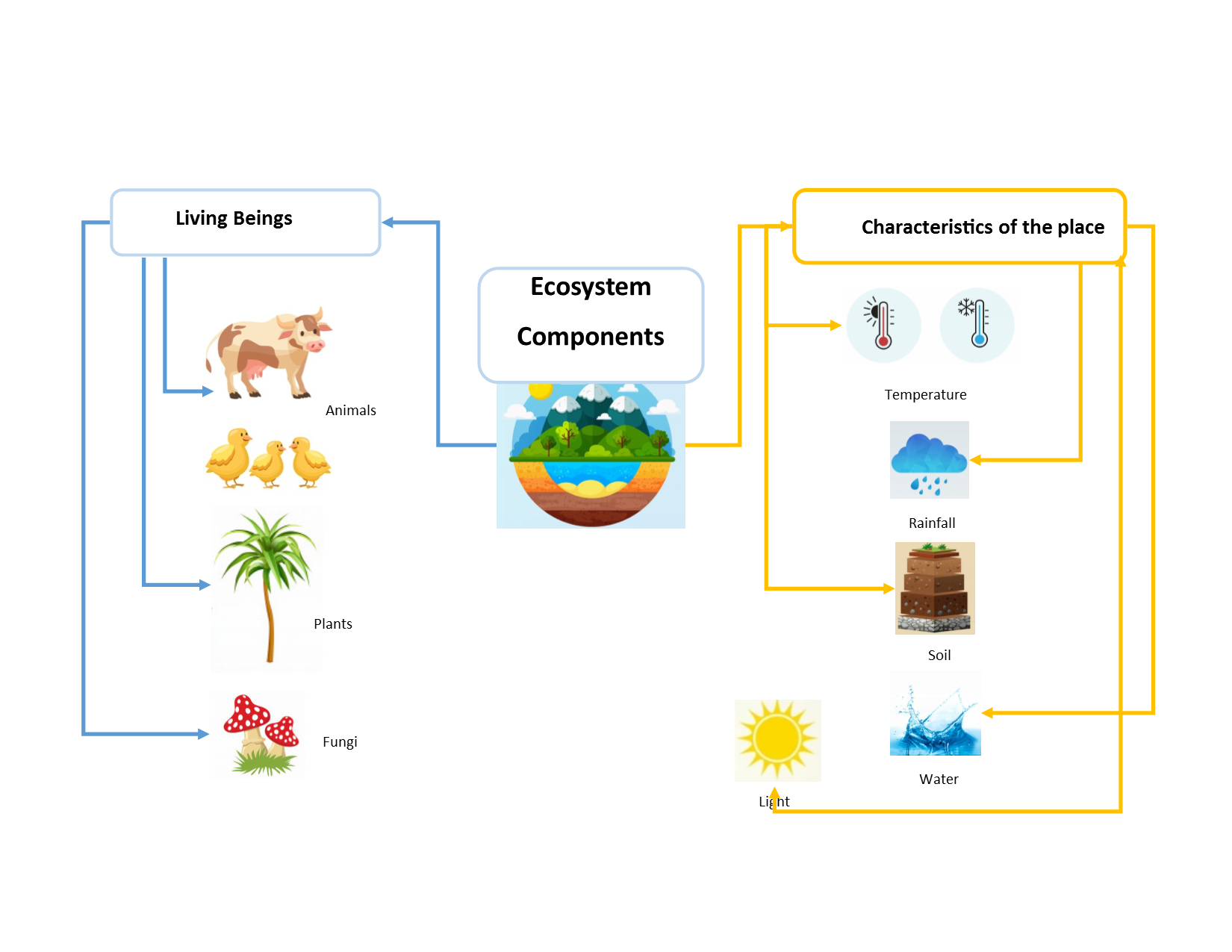 Trabajos del Cole: Ecosystem mind map