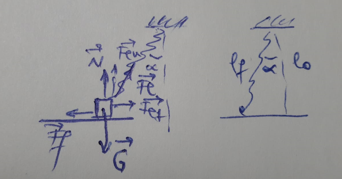 Fizica pe intelesul tau. Probleme explicate.: Mecanica. Forte elastice ...