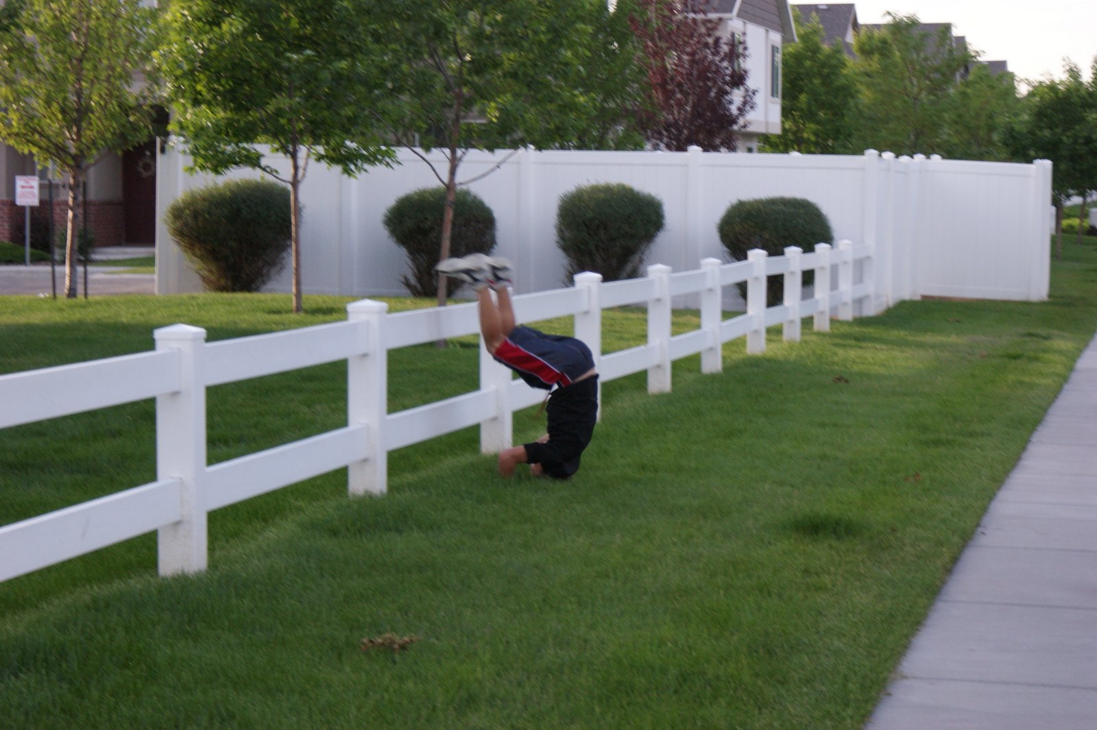 The Munkeys: Can you jump over the fence?