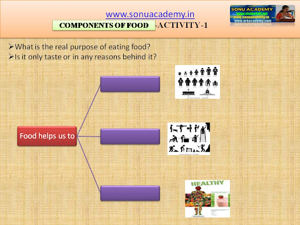 SONU ACADEMY: COMPONENTS OF FOOD - ACTIVITIES- CHAPTER-2 CLASS VI