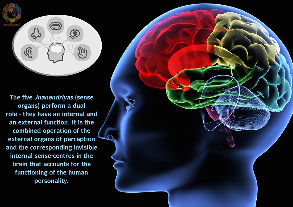 Sathya Sai with Students: Understanding the Mysteries of the Body, Mind ...