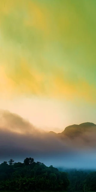 10 Simple nature phone wallpapers