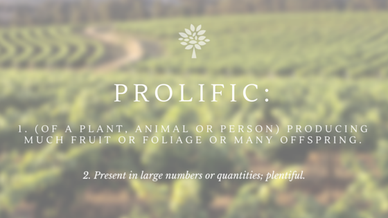 What Do We Mean By "Prolific"? Five Insights on Writing | Rachel E. Watson