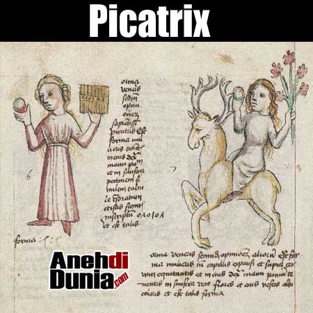 Buku Ilmu Sihir Sakral Peninggalan Kuno - Berita Aneh dan Unik Terbaru