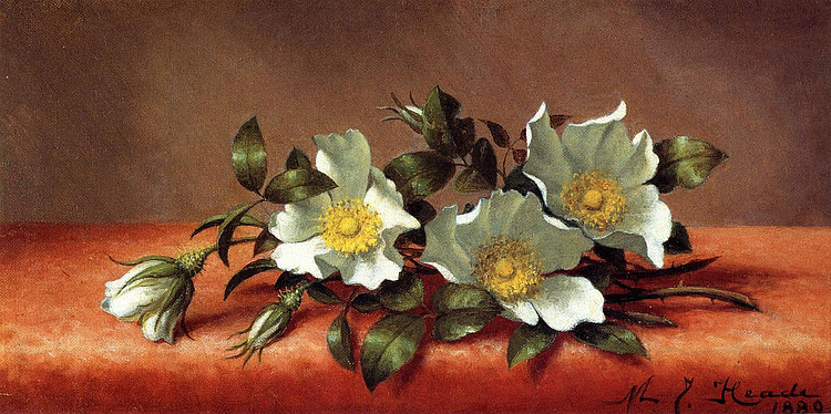Martin Johnson Heade | Pittore romantico | Tutt'Art@ | Masterpieces