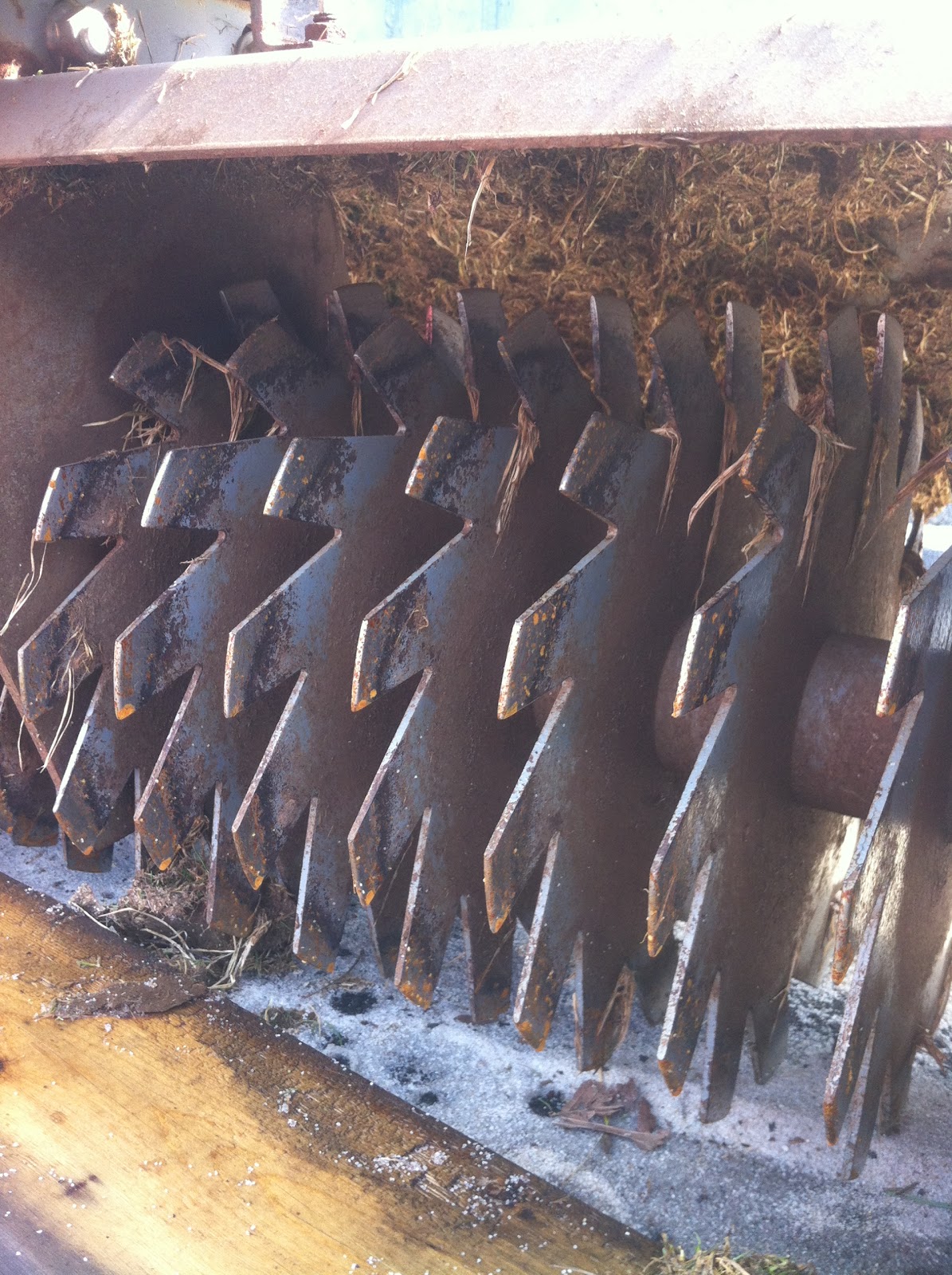 Dominion Valley Turfgrass News: It's Cultural: Verticutting Fairways