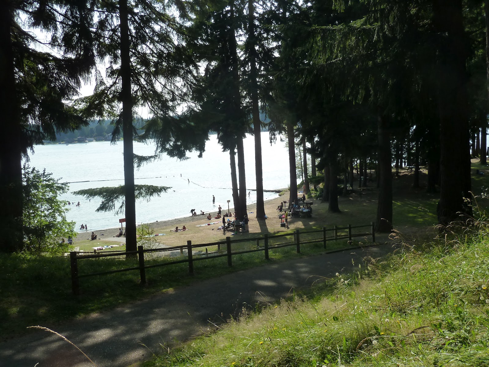 NW Artist: Learning About Life, Art & Spirituality: Wenberg State Park ...