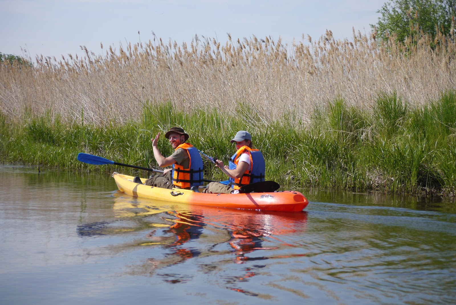 Amur Bird Project: June 2018