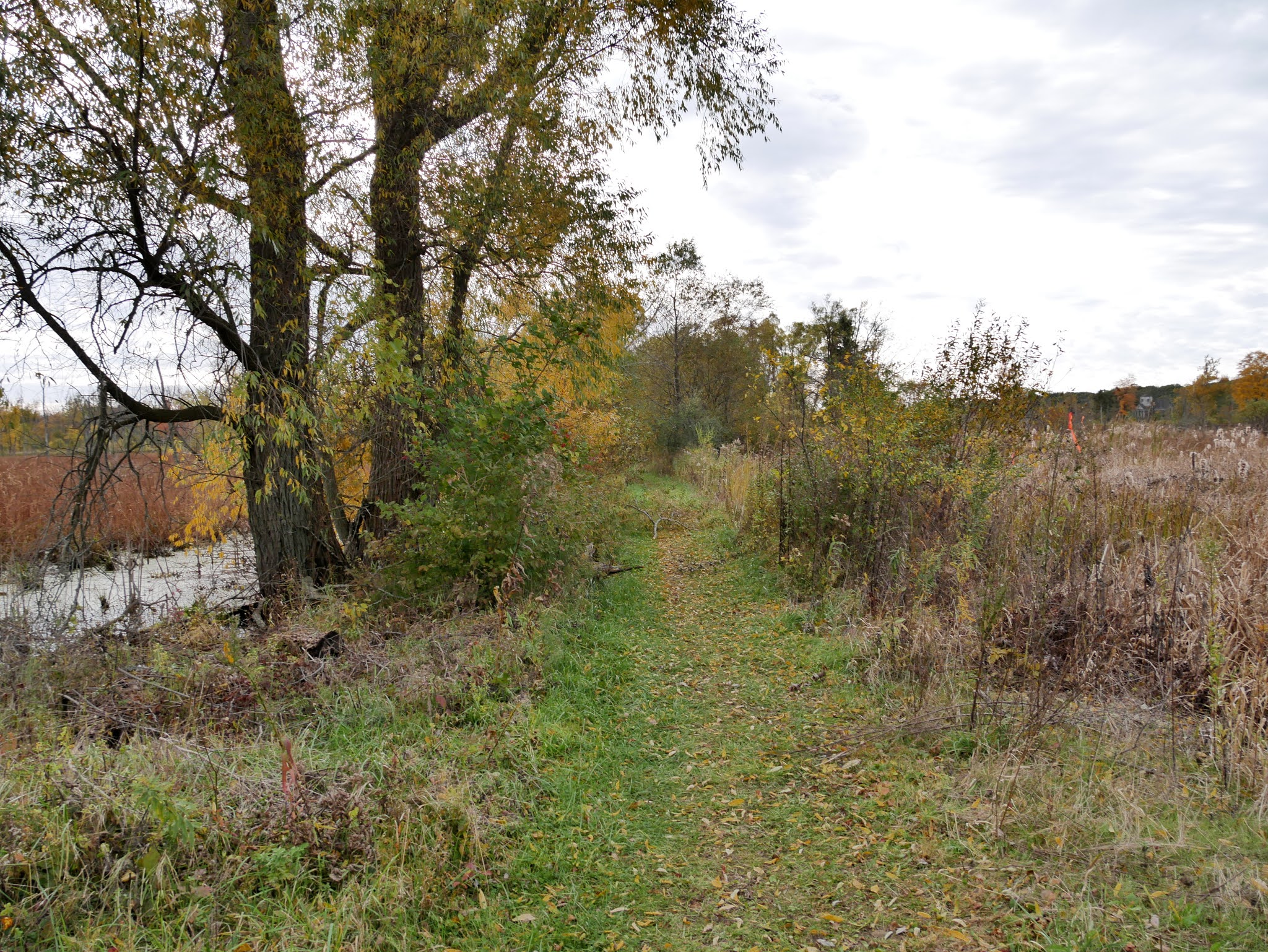 American Travel Journal: Great Marsh Trail - Indiana Dunes National Park