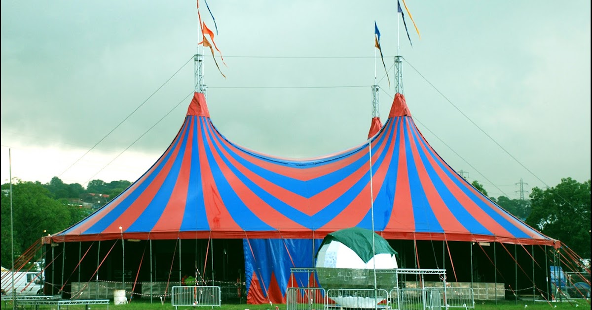 Buckles Blog: BIG TOP #3
