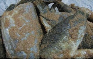 PEMBEKAL IKAN PEKASAM POWER MADE IN KEDAH: Apa itu ikan pekasam