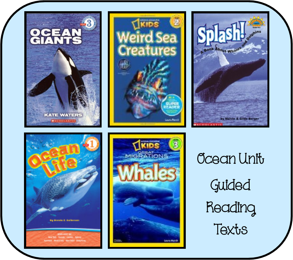 Hoots N' Hollers: Let's Take a Dive! Ocean Unit in Review--Part One