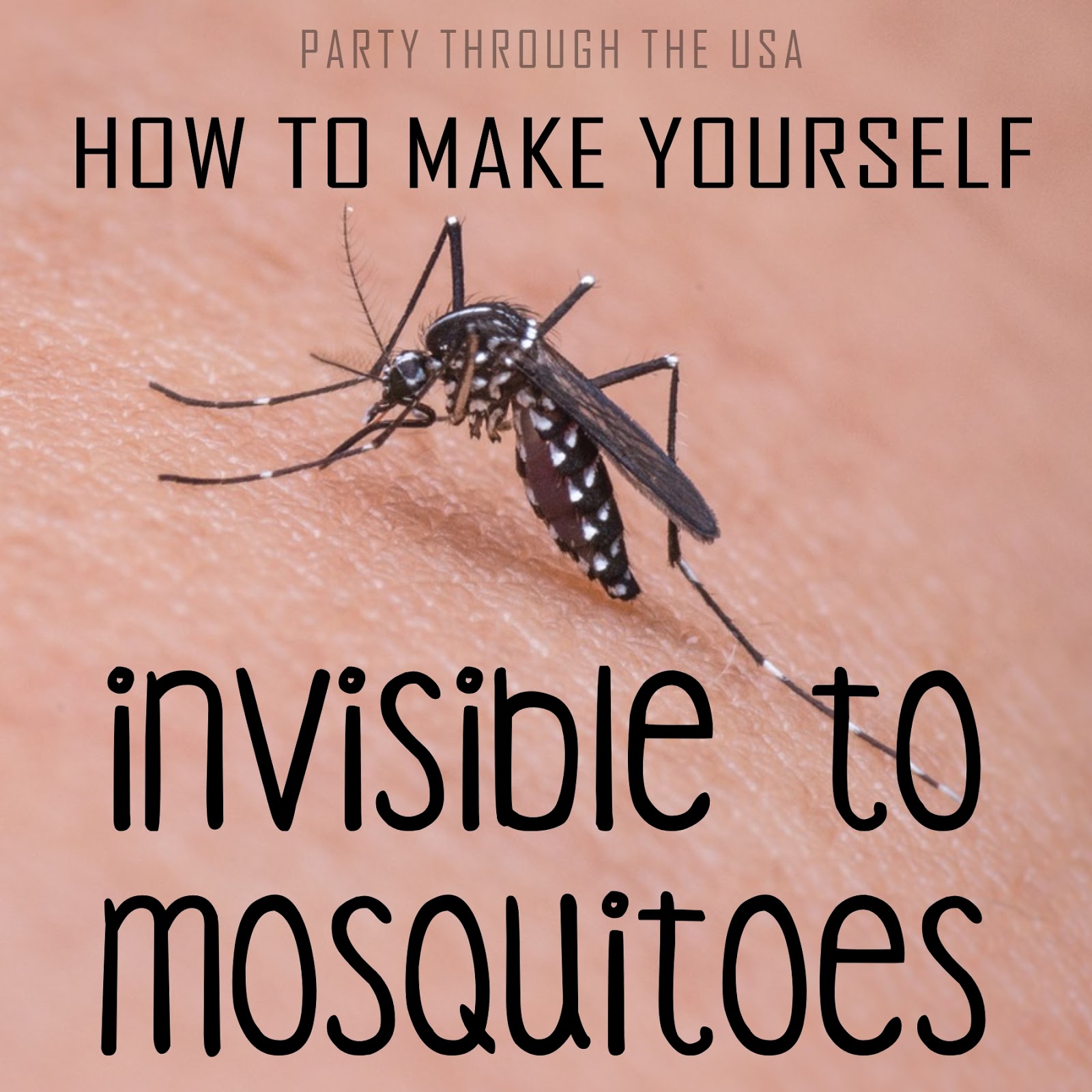How to Make Yourself Invisible to Mosquitoes