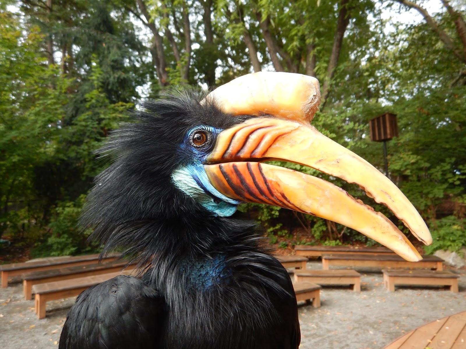 Love for the charismatic Blueberry, we will miss her