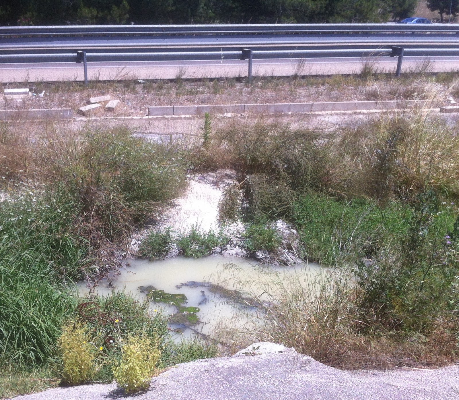 Plataforma SAB : El control de vertidos ahorra dinero.