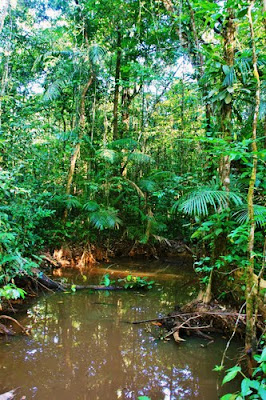 Big Blue 1840-1940: Inini