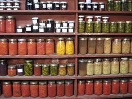 Merlyn's Musings~: Seed catalogs make me think and dream....