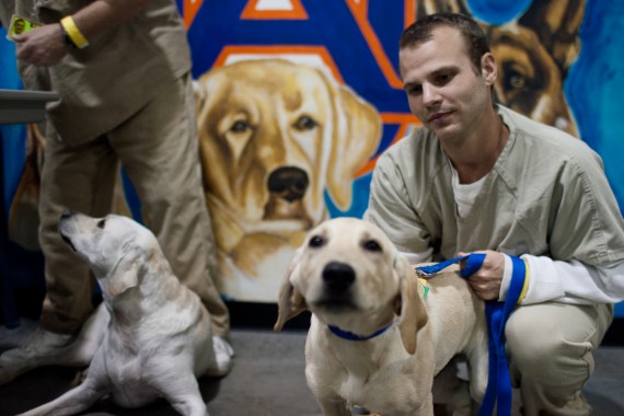 PRISON DOG PROGRAMS ~ BRIDGES and PATHWAYS of COURAGE: June 2012