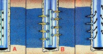 Drilling Knowledge: Perforation in Oil Drilling