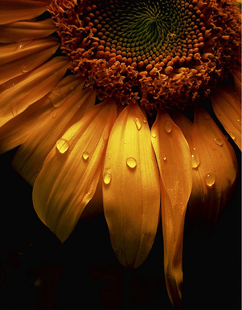 Provocando Tu Mirada: Delicadeza