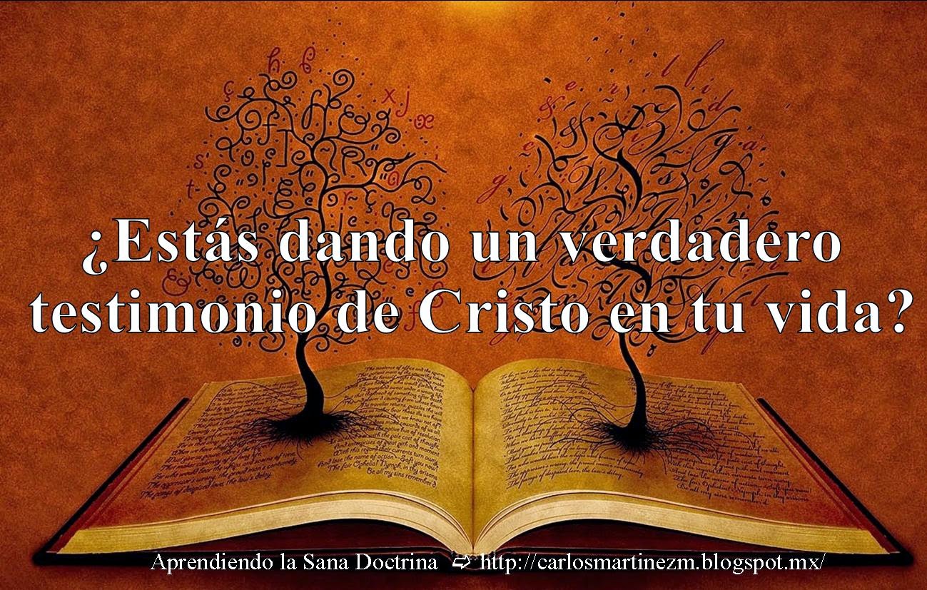 Aprendiendo la Sana Doctrina: ¿ESTÁS DANDO UN VERDADERO TESTIMONIO DE ...