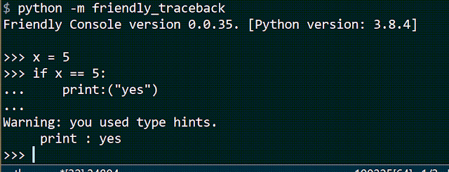 Only Python Identifying Misleading Type Hints