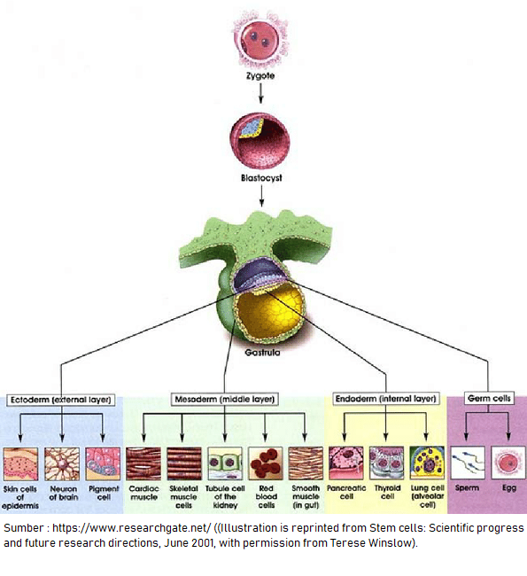 KARAKTERISTIK ANIMALIA ~ Blog Guru Asyik