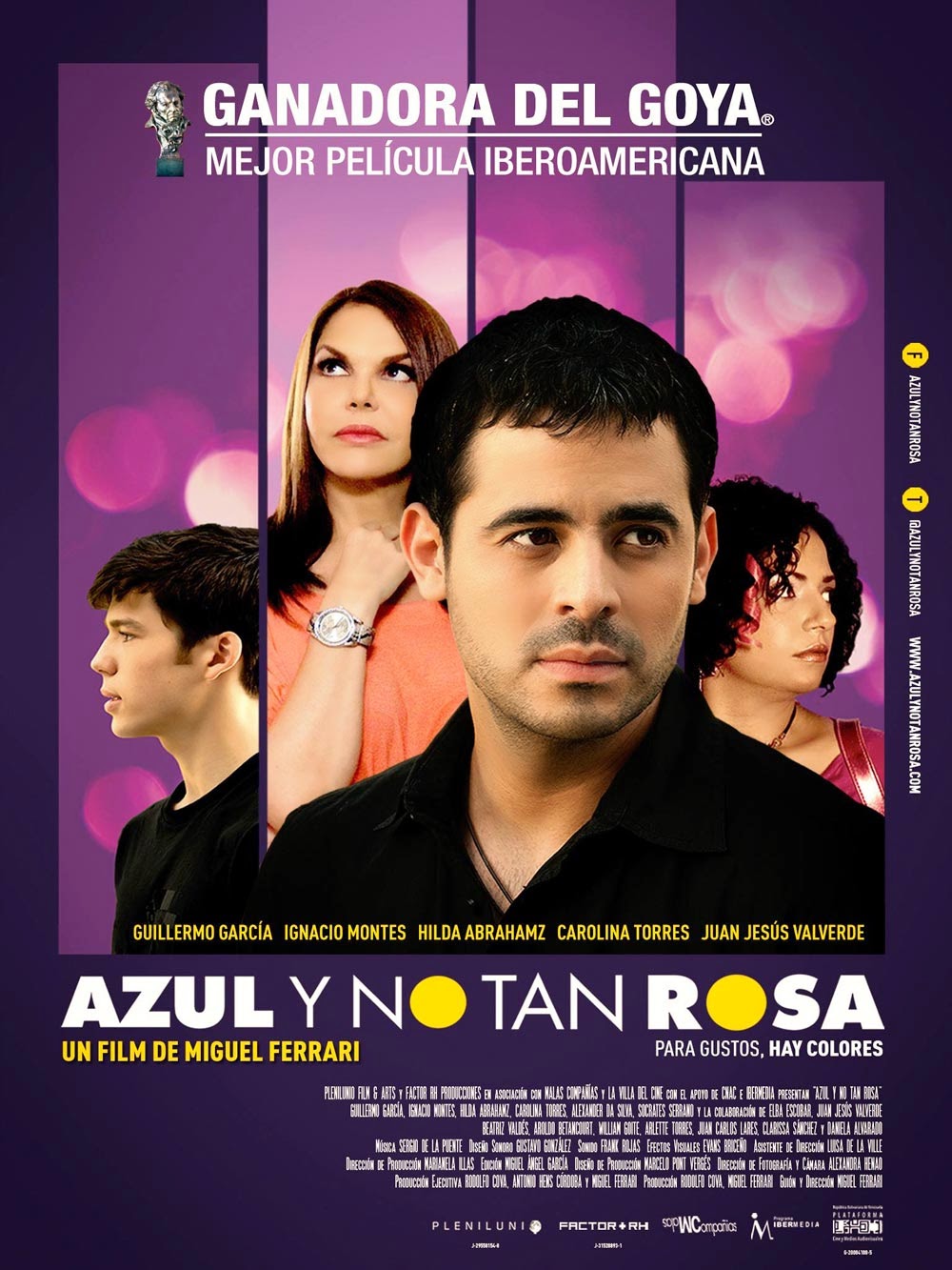 Azul y no tan rosa - 2014 | Tus Peliculas y Series Gratis