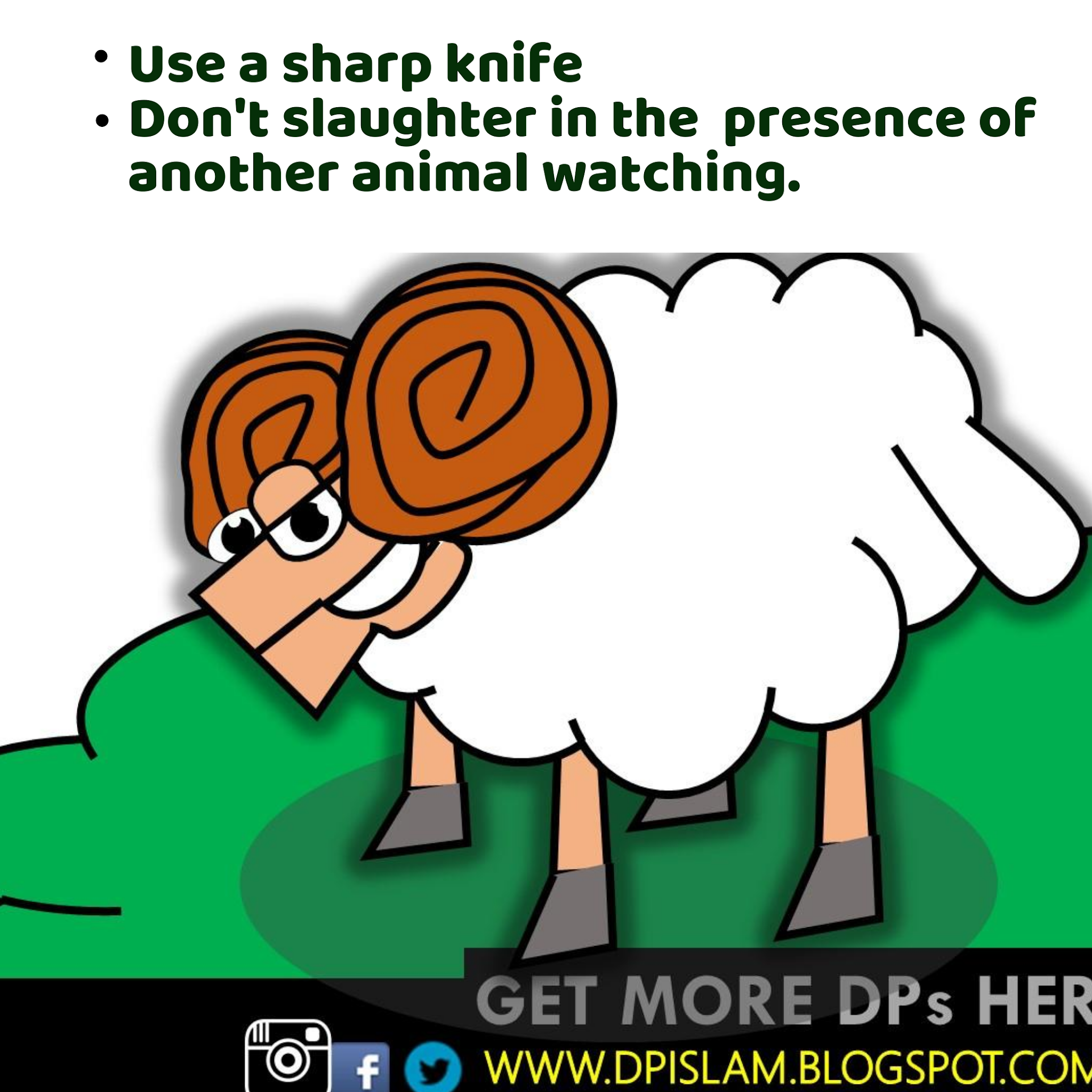 ISLAMIC DISPLAY PICTURES FOR ALL SOCIAL MEDIA.: Eid Adha. Ram ...