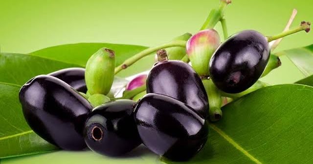 FAIDA ZA MMEA WA ZAMBARAU