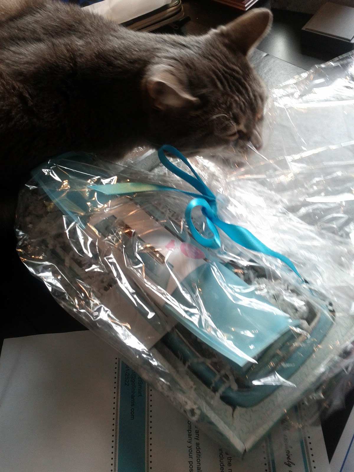 Cat and DOG Chat With Caren: Dining In Style Is A "Good Thing!" Martha ...