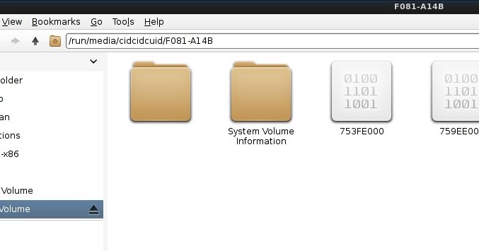 Clean the USB/Flash Drive From Viruses using archlinux