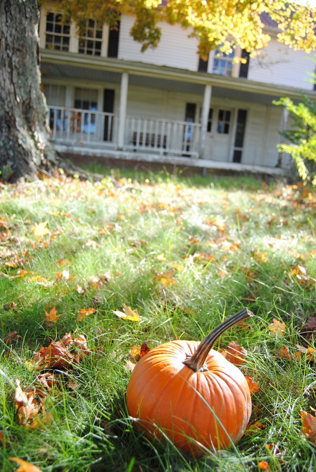 Creek Junk: {haley, joseph, & baby}
