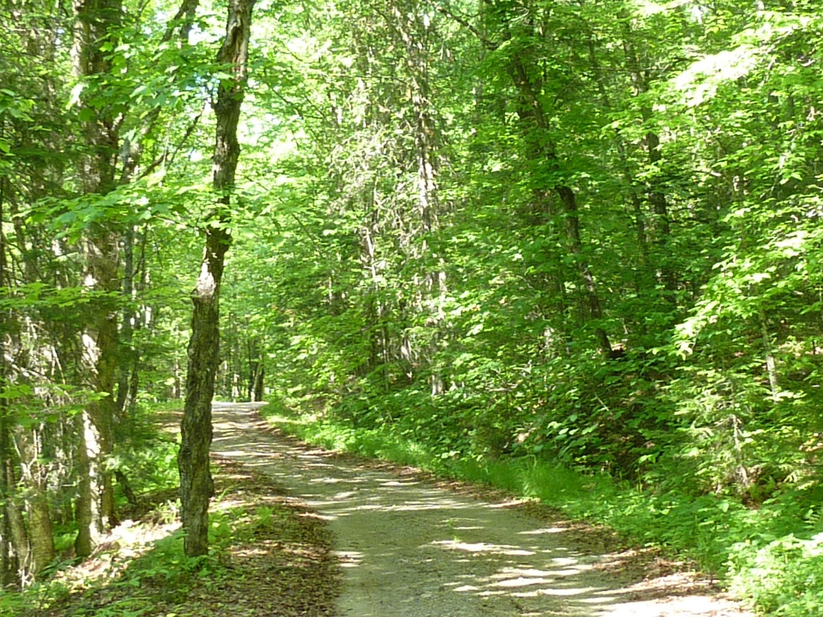 Blog voyage de Chantal et Réjean: Lac Caché