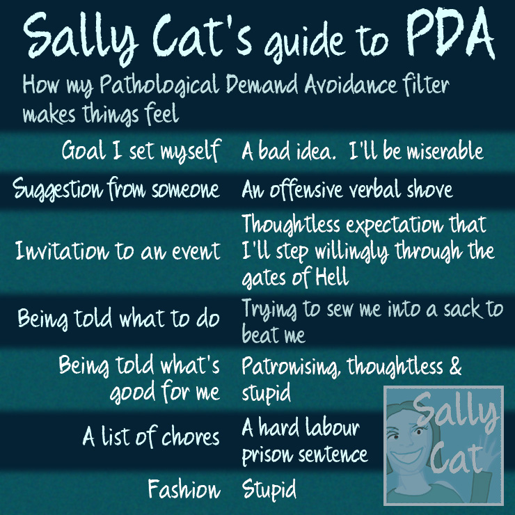 Sally Cat PDA: Memes About Demand Avoidance
