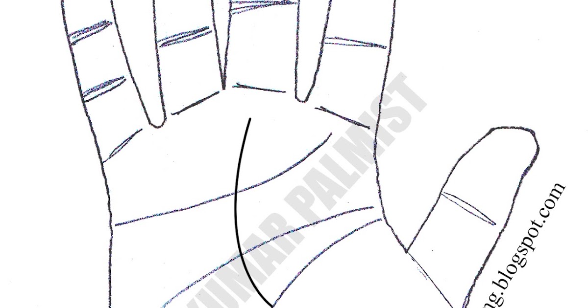 हस्तरेखा शास्त्र में द्वितीय (2nd) तरह की भाग्य रेखा | Bhagya Rekha ...