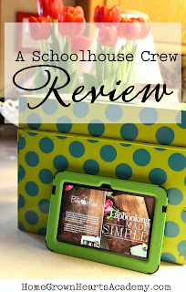 Home Grown Hearts Academy Homeschool Blog: Our Reviews