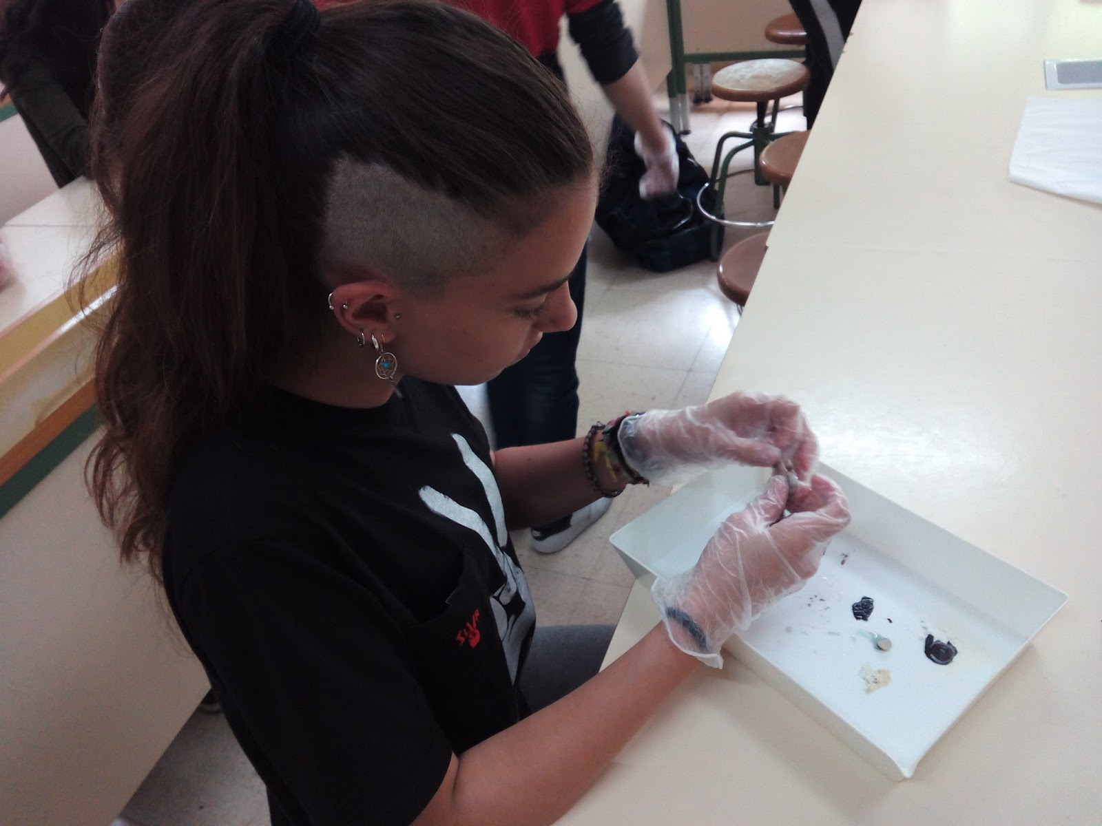 BioyGeo IES ATENEA: Práctica de Laboratorio: Disección de ojo de vaca