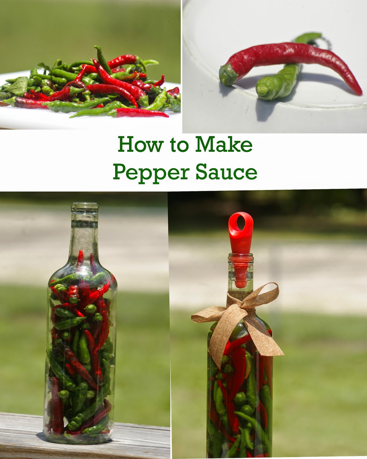 Living at My Farmhouse: Southern Style Pepper Sauce