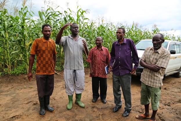 MATUKIO @ MICHUZI BLOG: WILAYA YA HANDENI NA MAENDELEO YA KILIMO NA UFUGAJI