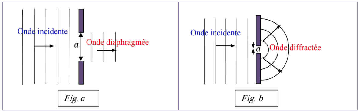 Ondes mécaniques progressives périodiques - Activités