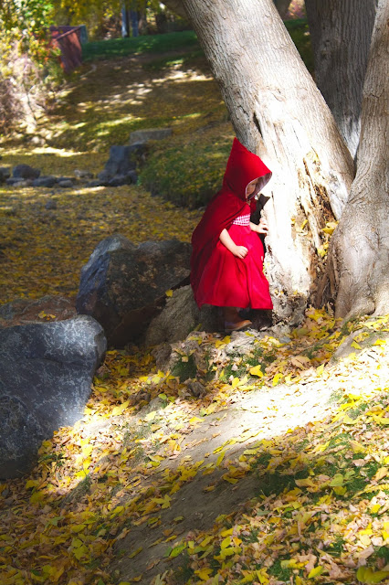 do it yourself divas: DIY: Little Red Riding Hood Costume/Cloak 2T-4T