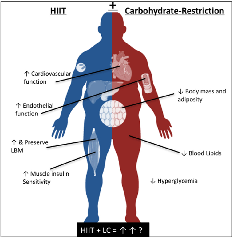 Encyclopedia of Medicine: Type 2 Diabetes - Low Volume High-Intensity ...
