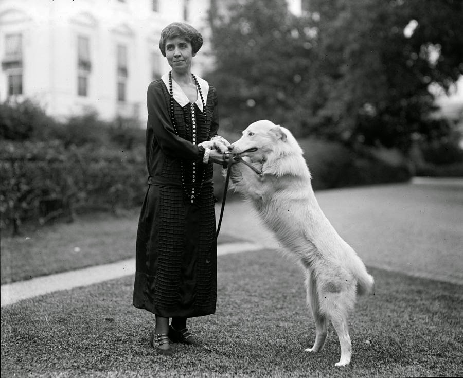 Art Contrarian: Molti Ritratti: Grace Coolidge